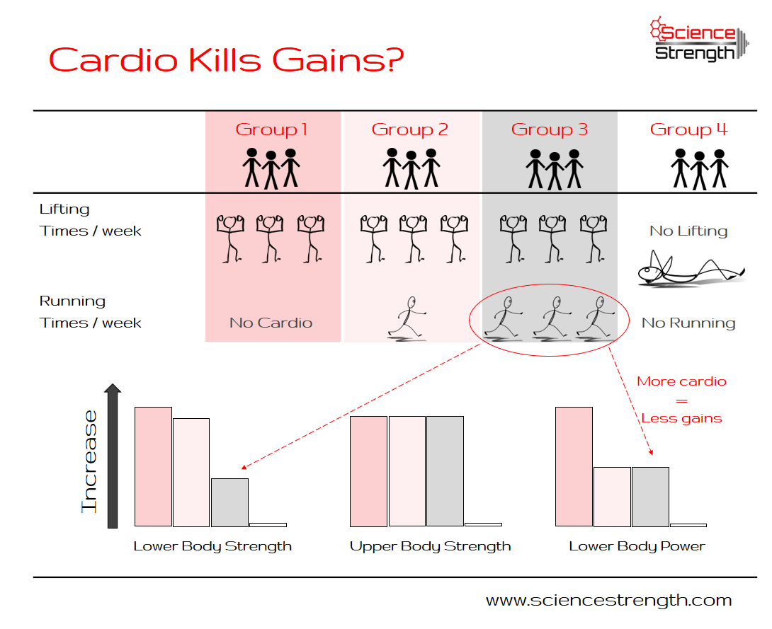 Cardio Kills Gains? — ScienceStrength
