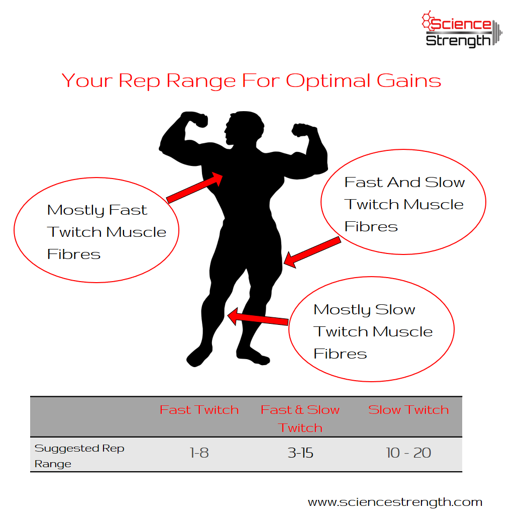The Lifting Guide Part 1 Choose The Rep Range That Makes Your Muscle