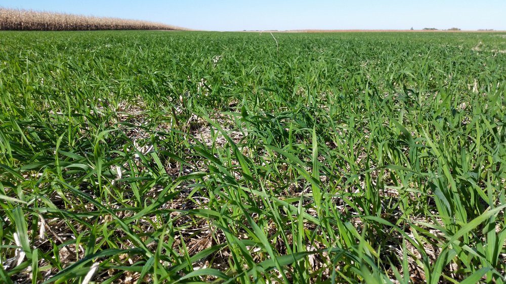 Ag Conservation Practices — Clean Water Iowa