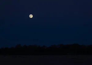 Full Moon Float — Big Muddy Adventures