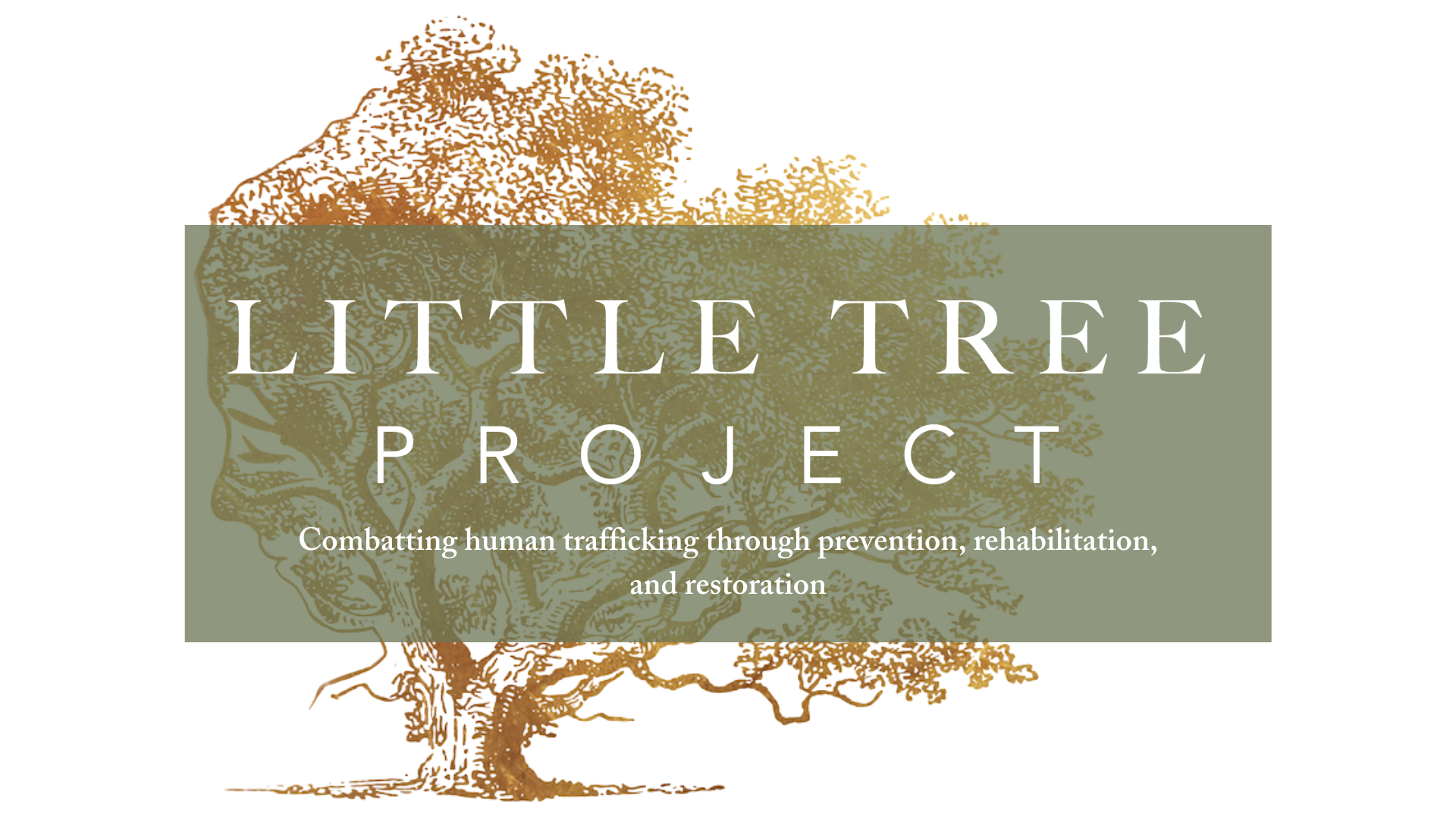 THE LITTLE TREE PROJECT