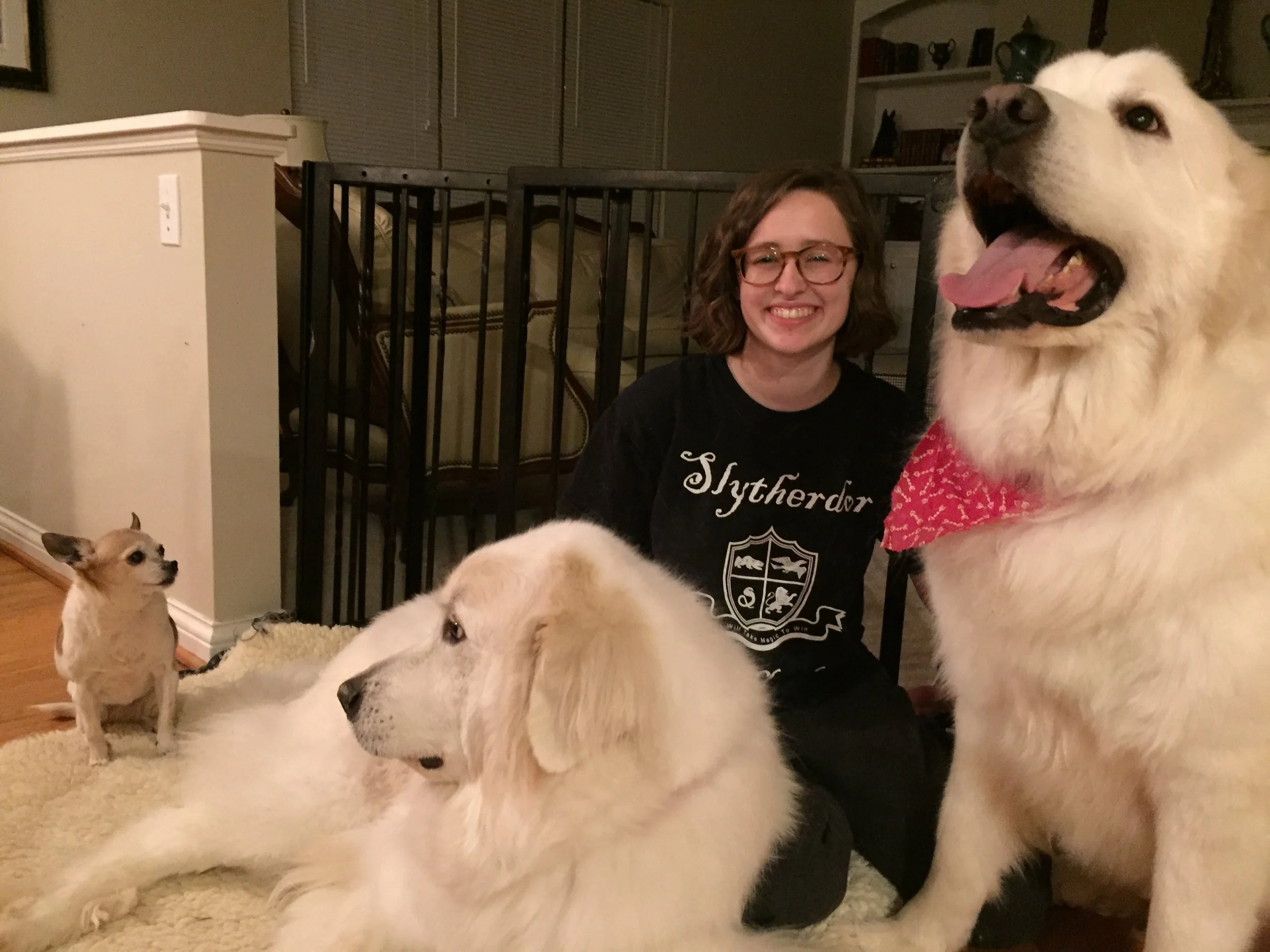 Life With a Great Pyrenees During the Summer