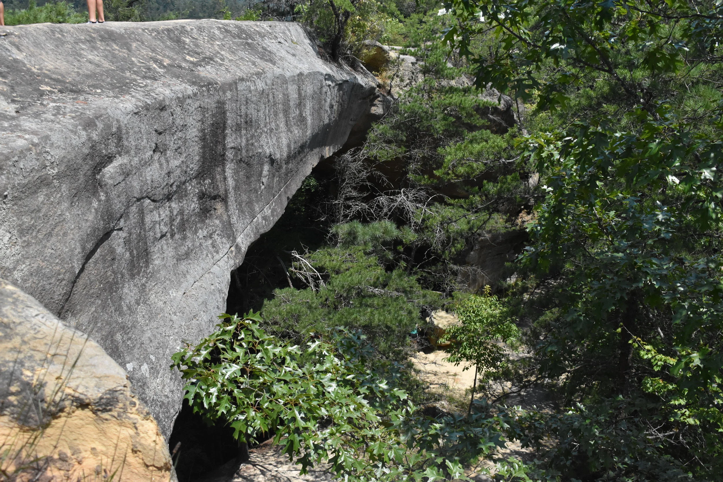 The Double Arch of Sky Bridge (Red River Gorge, Kentucky)