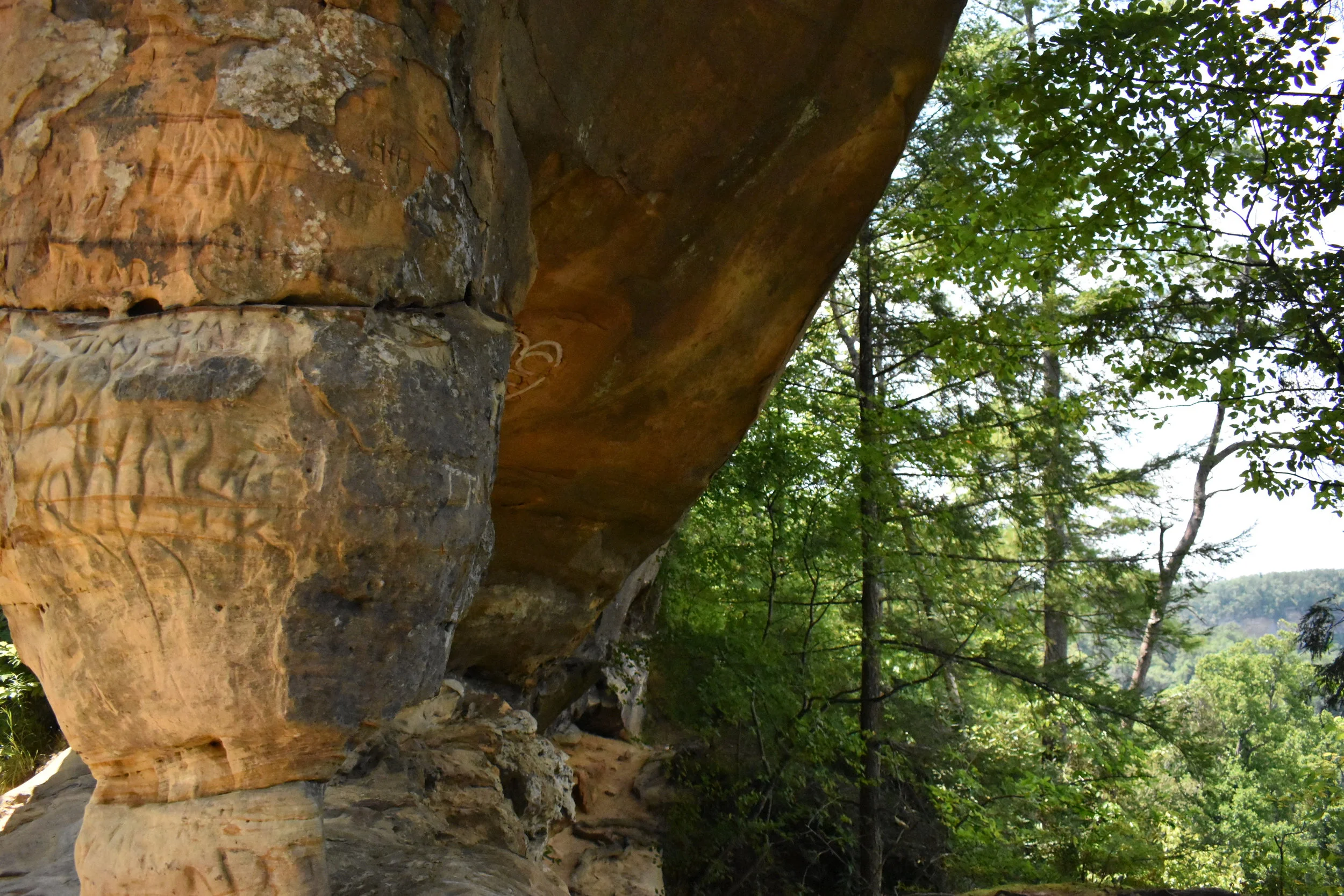 The Double Arch of Sky Bridge (Red River Gorge, Kentucky)