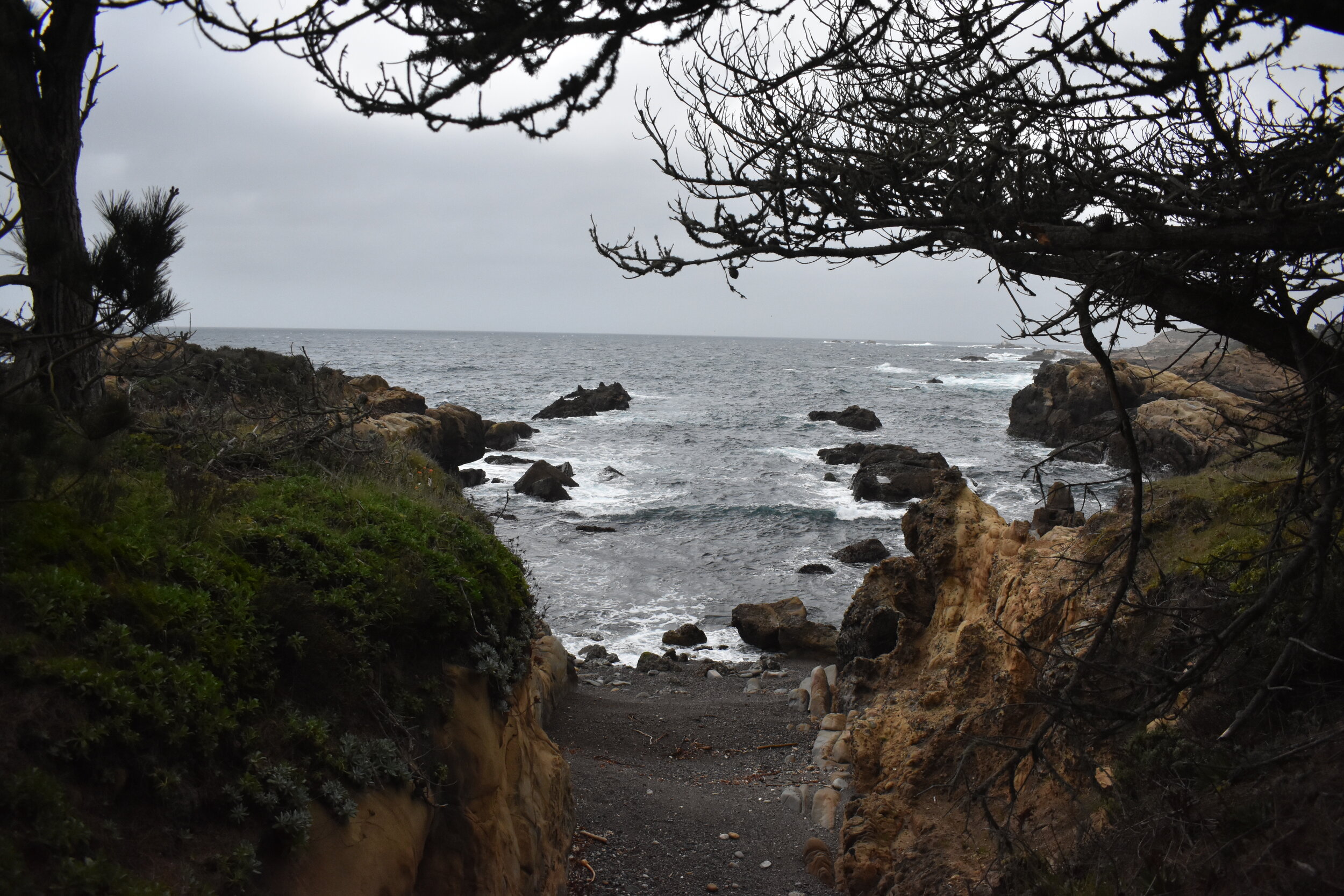 Sea Otters & Moody Pacific Views in Point Lobos State Natural Reserve ...