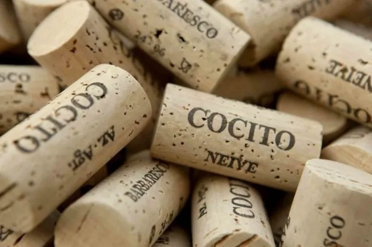 Cocito — GIULIANA IMPORTS