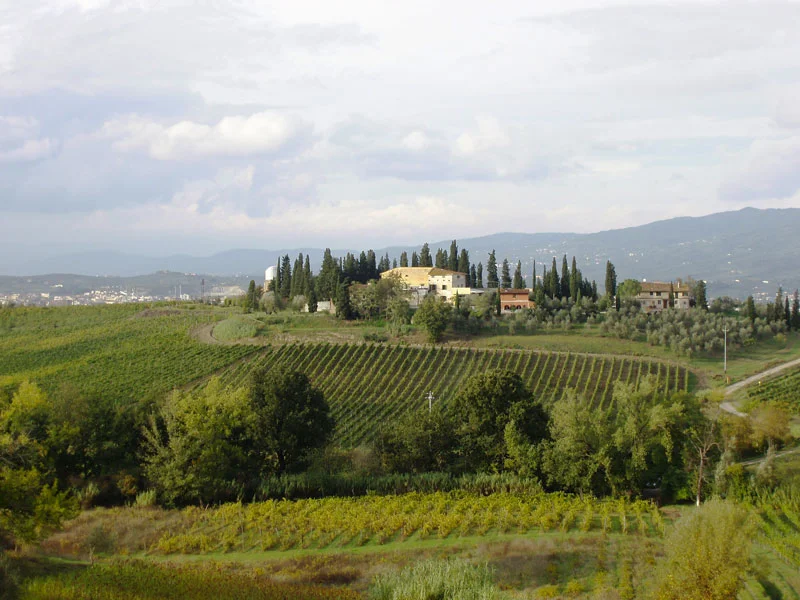 Piazzano — GIULIANA IMPORTS