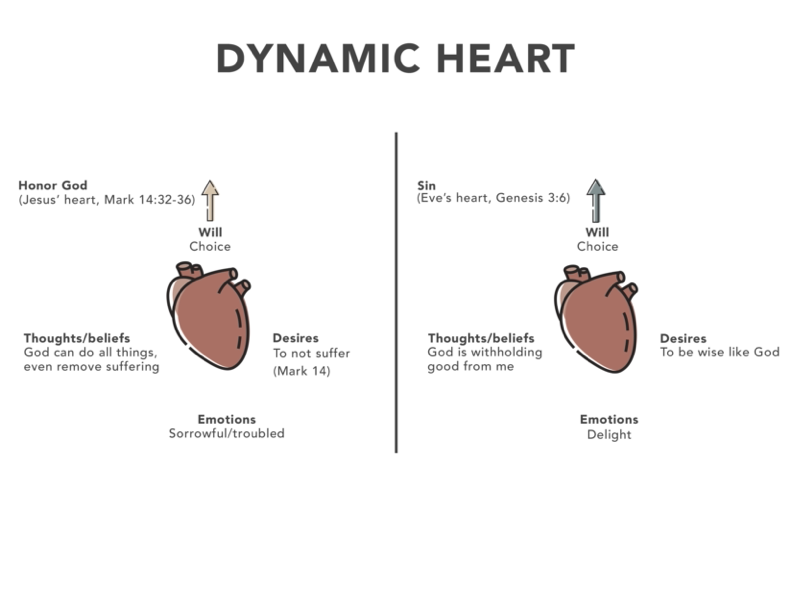 Diagrams — Canyon Hills