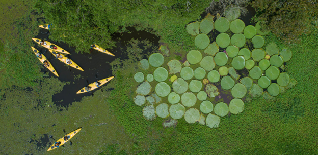 Select Holidays | Farm Tours