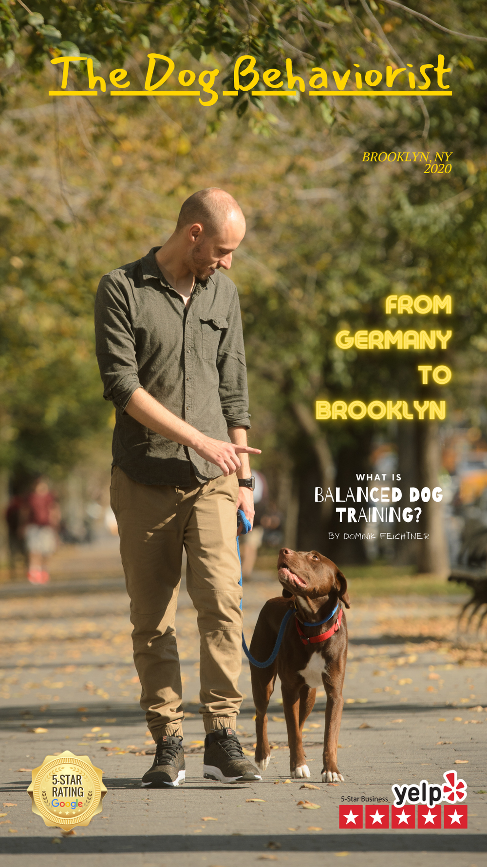 What is Balanced Dog Training? — The Dog Behaviorist NYC