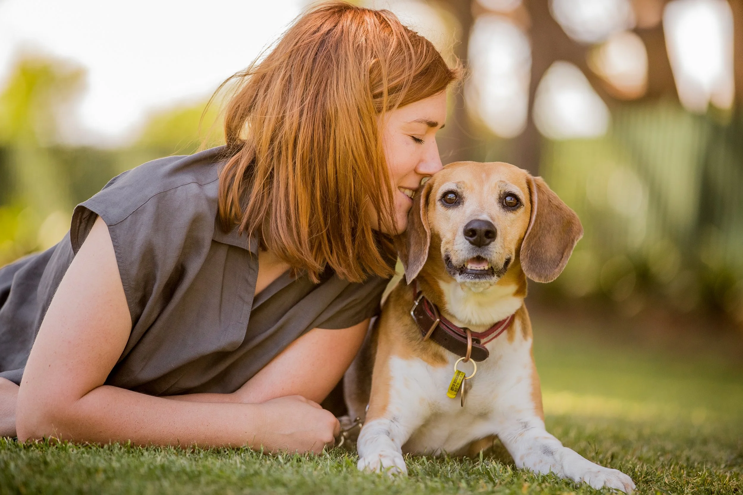 What Does It Mean When A Dog Prances