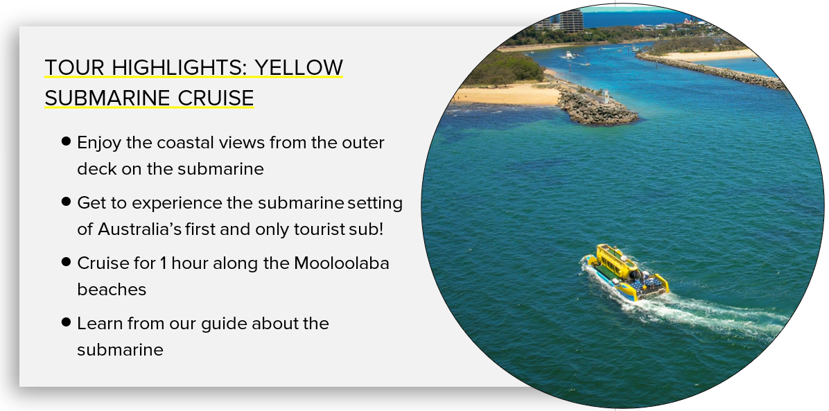 Down Under Submarines