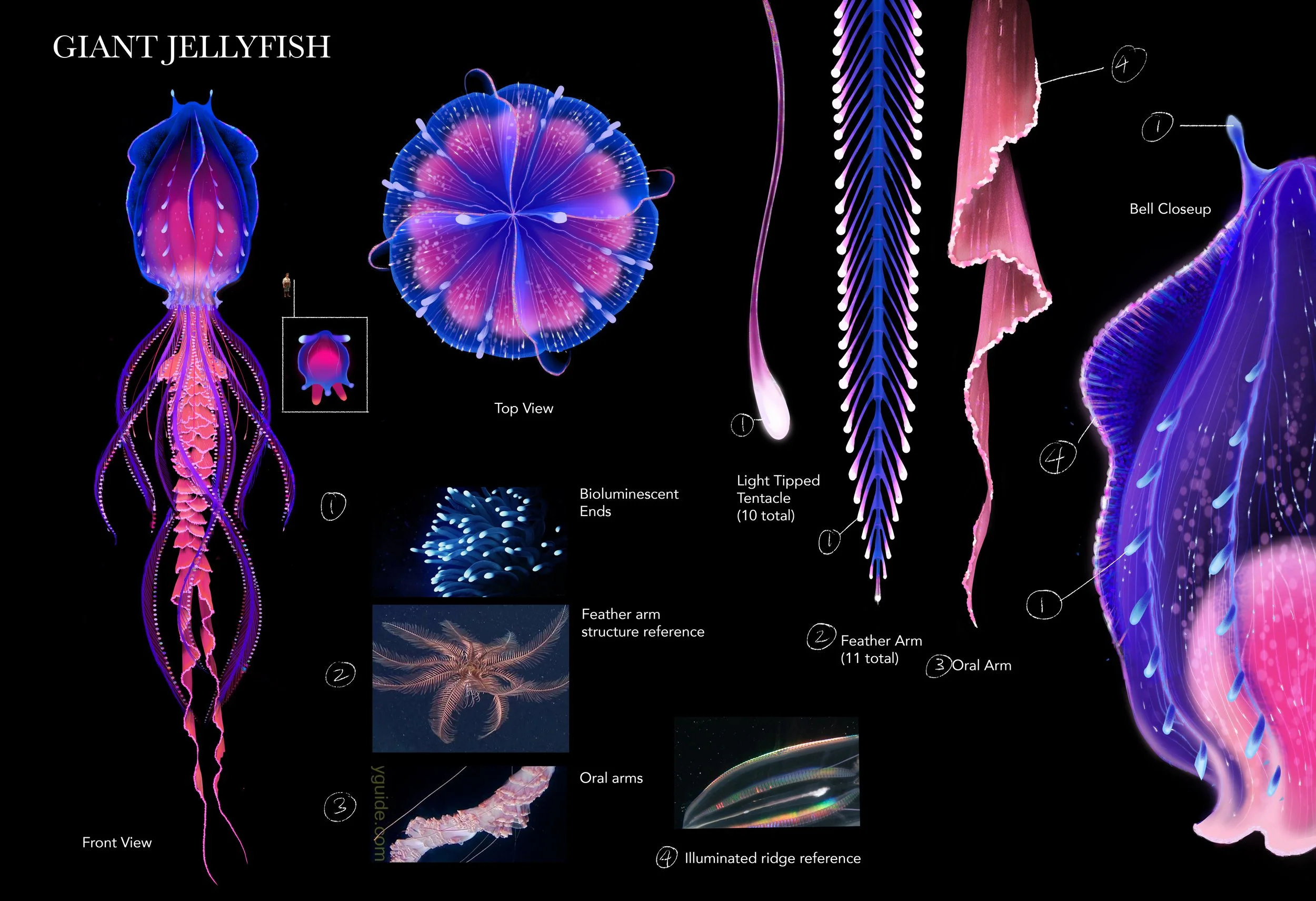 The Seabeast — Rebecca Shieh