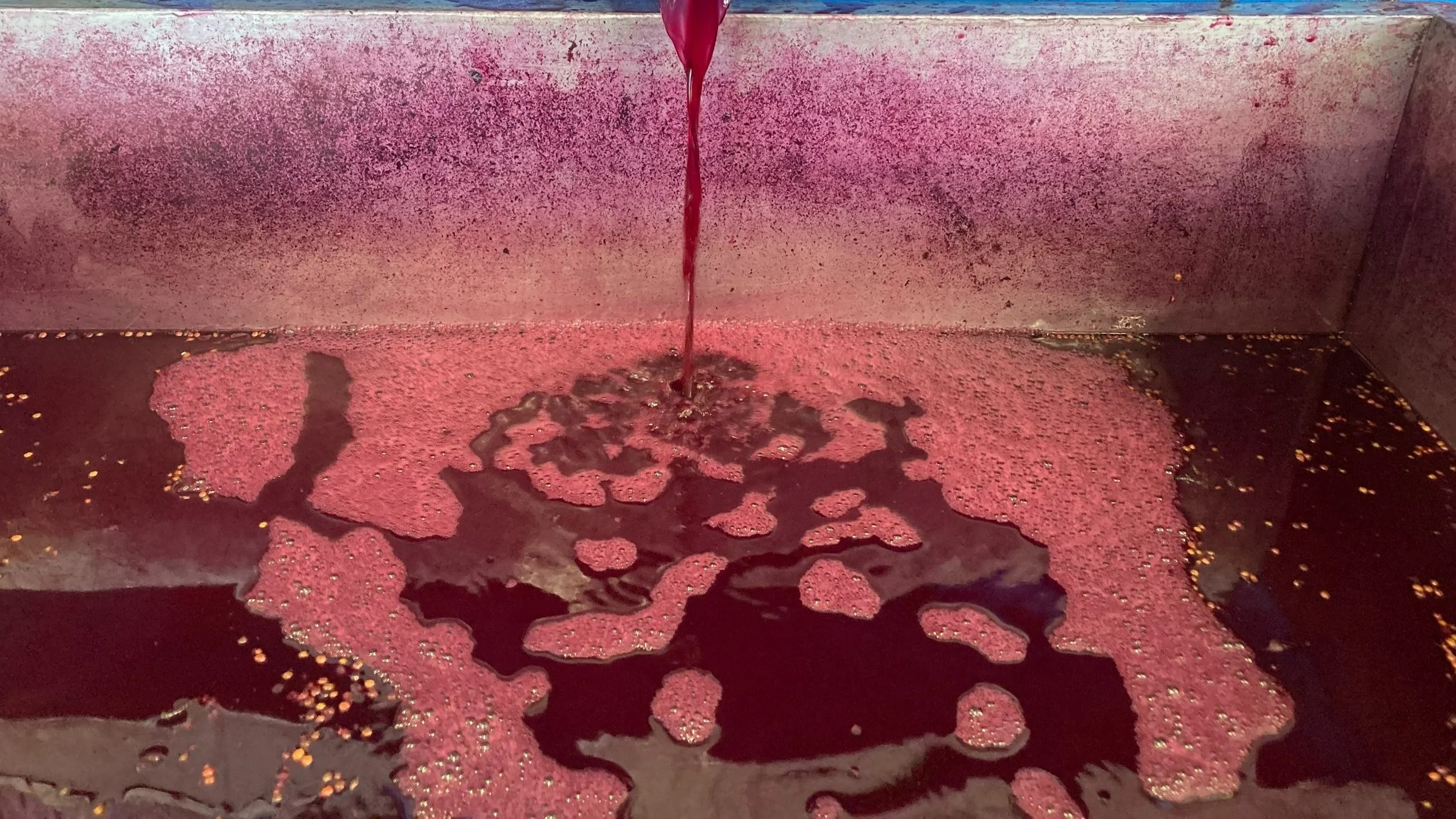 Hayes Family Wines - Pressing - Time to Extract the Goodness from those ...