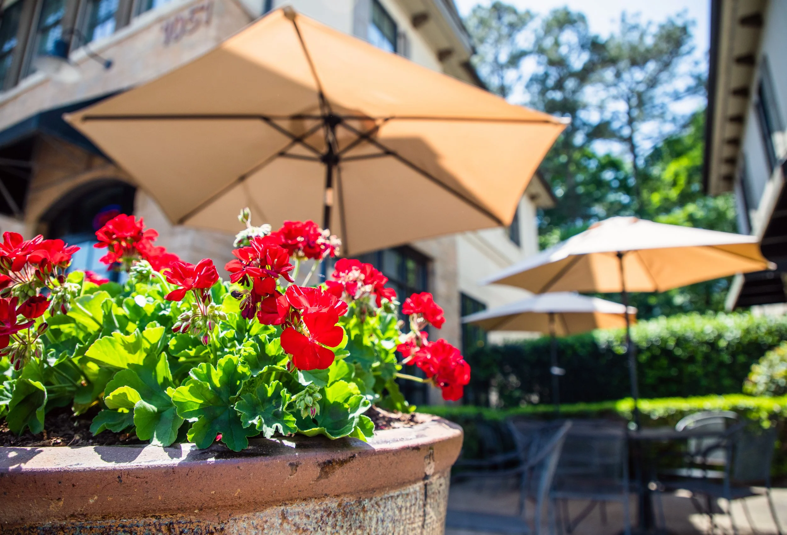 Local's Top Spots For Outdoor Dining at Lake Oconee — Lake Oconee Life