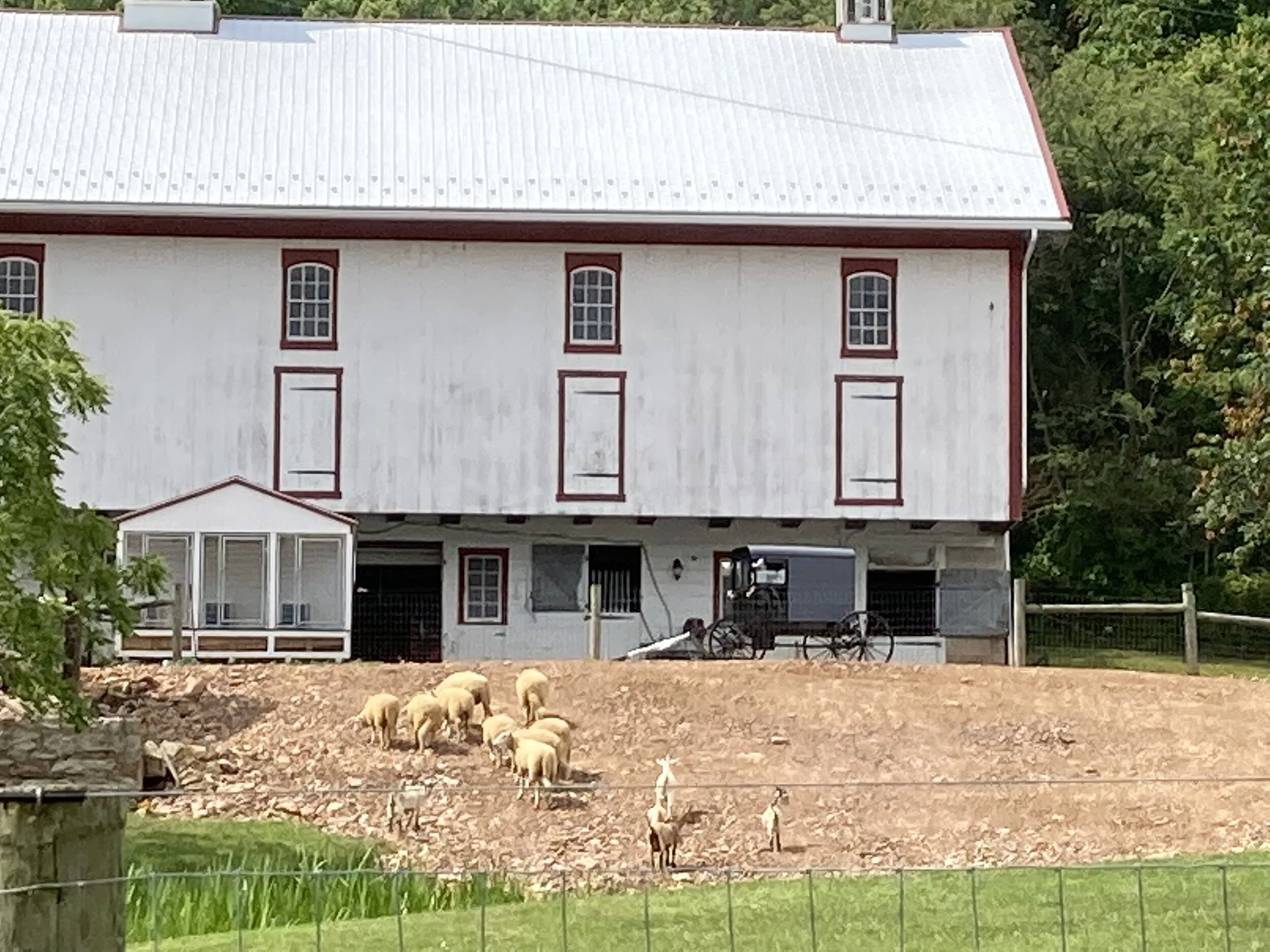 As American News Suffers Declines, Amish Newspapers Flourish In Print