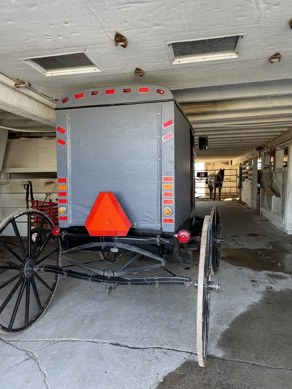 Adopting A Doodle Puppy From Amish Country’s Epicenter of Dog Breeding