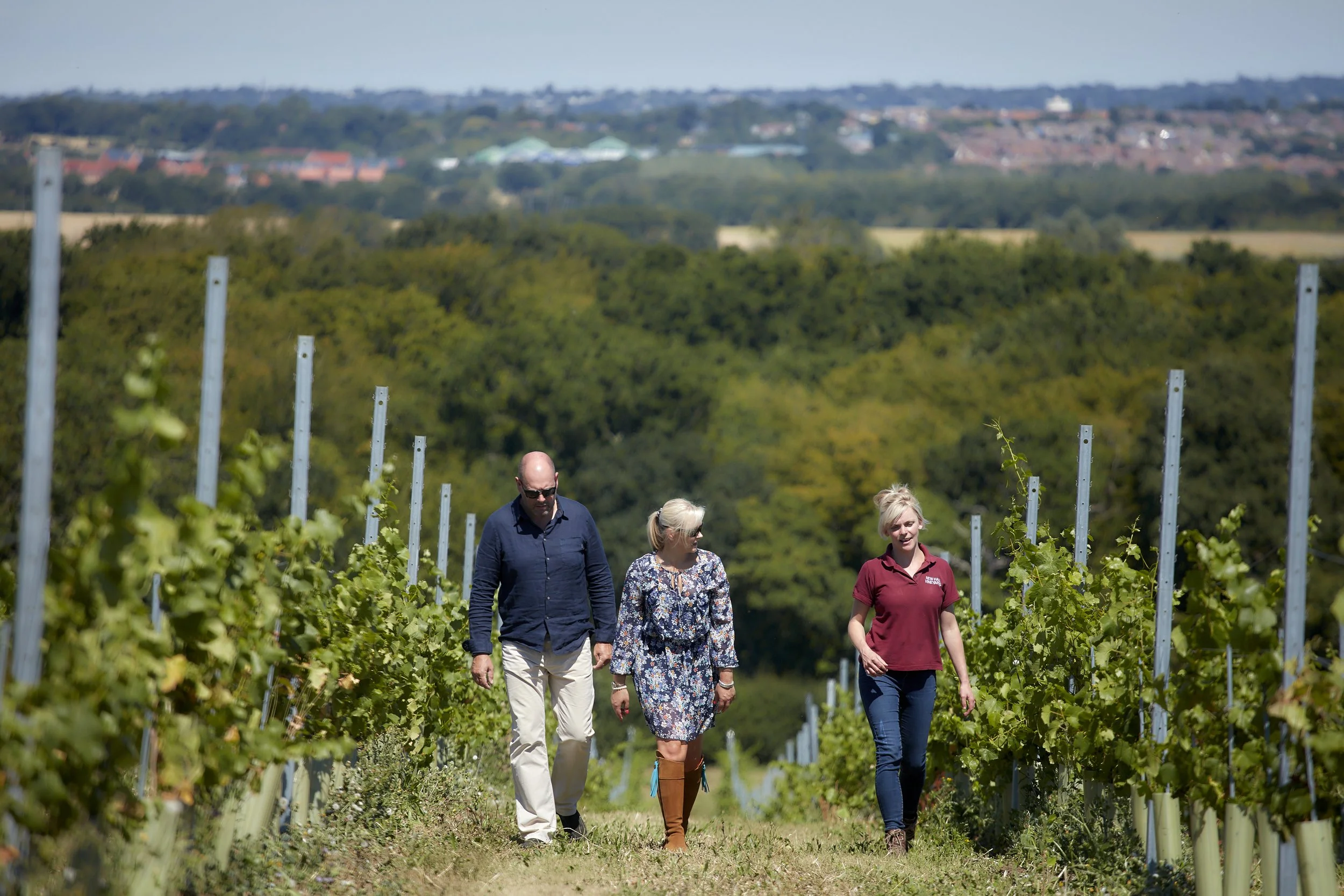Why Essex Wines are Among the Best in the UK — I Love Essex & East London