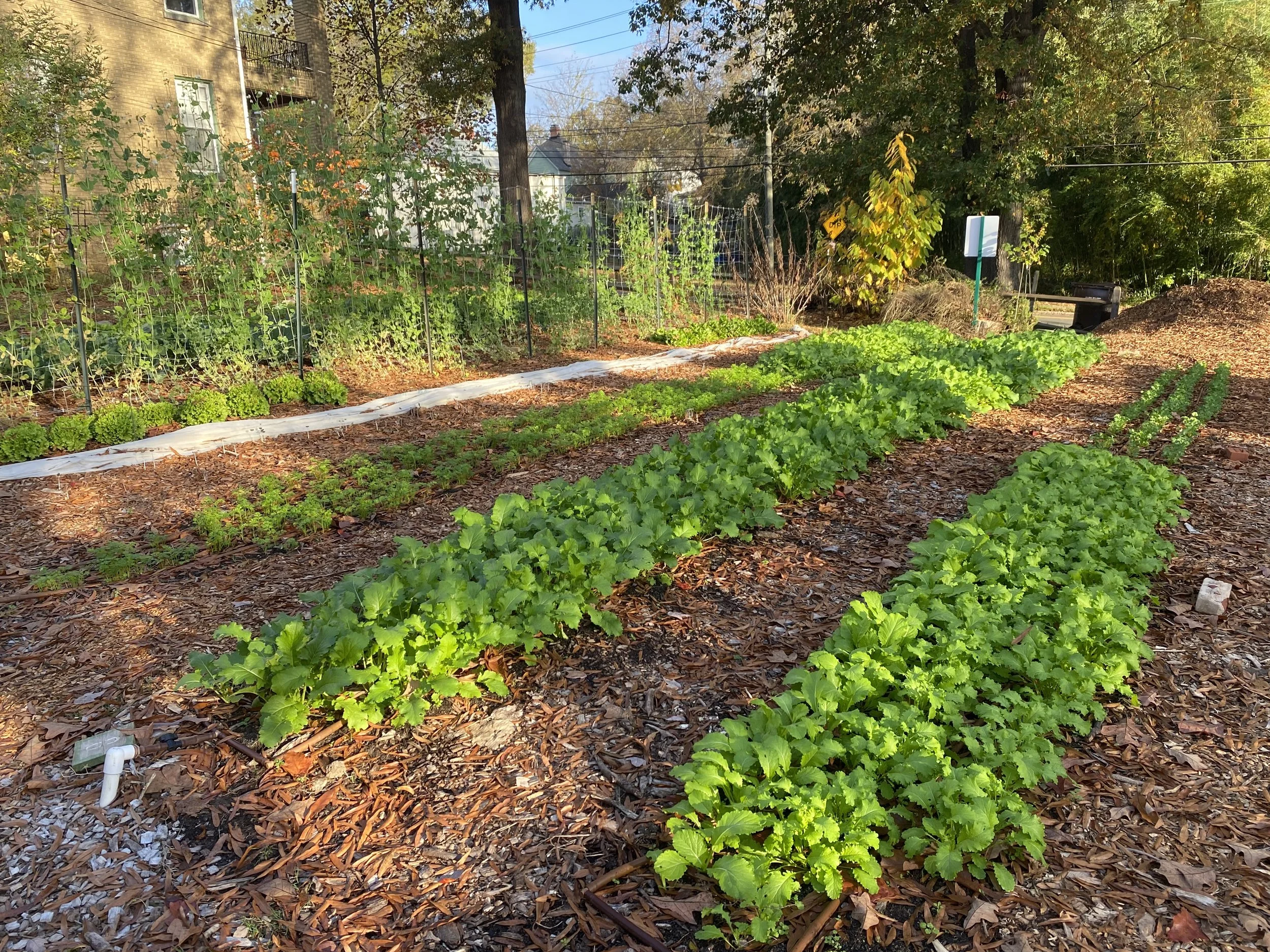 Events — Inter-Faith Food Shuttle