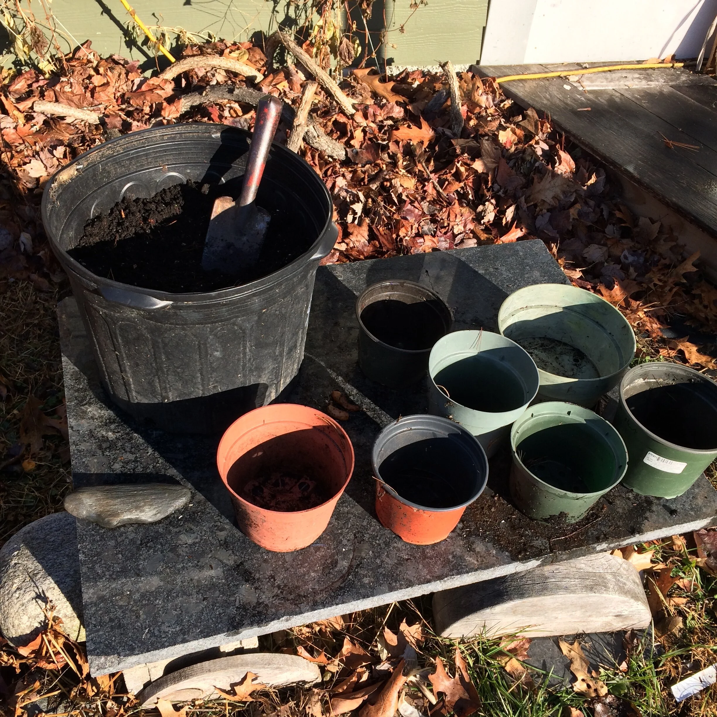 Stratification — Edgewood Nursery