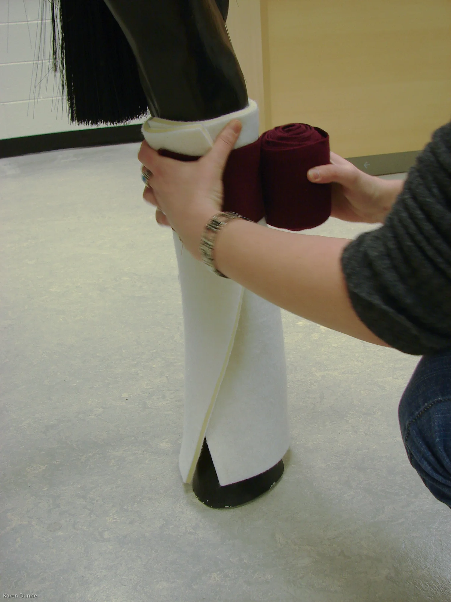 Stable bandaging — Vet Nursing Education