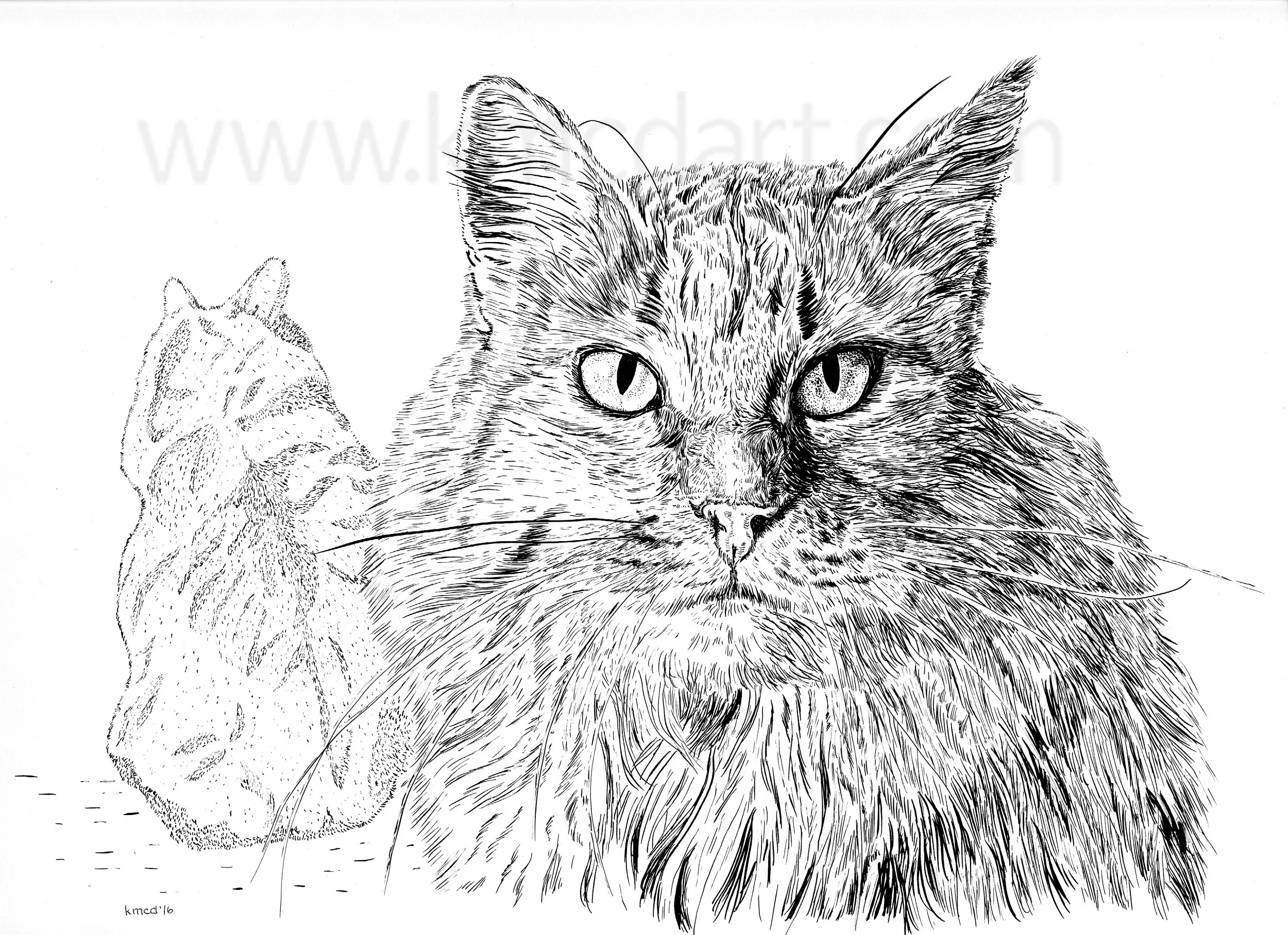 series of ink drawings — kmcdart