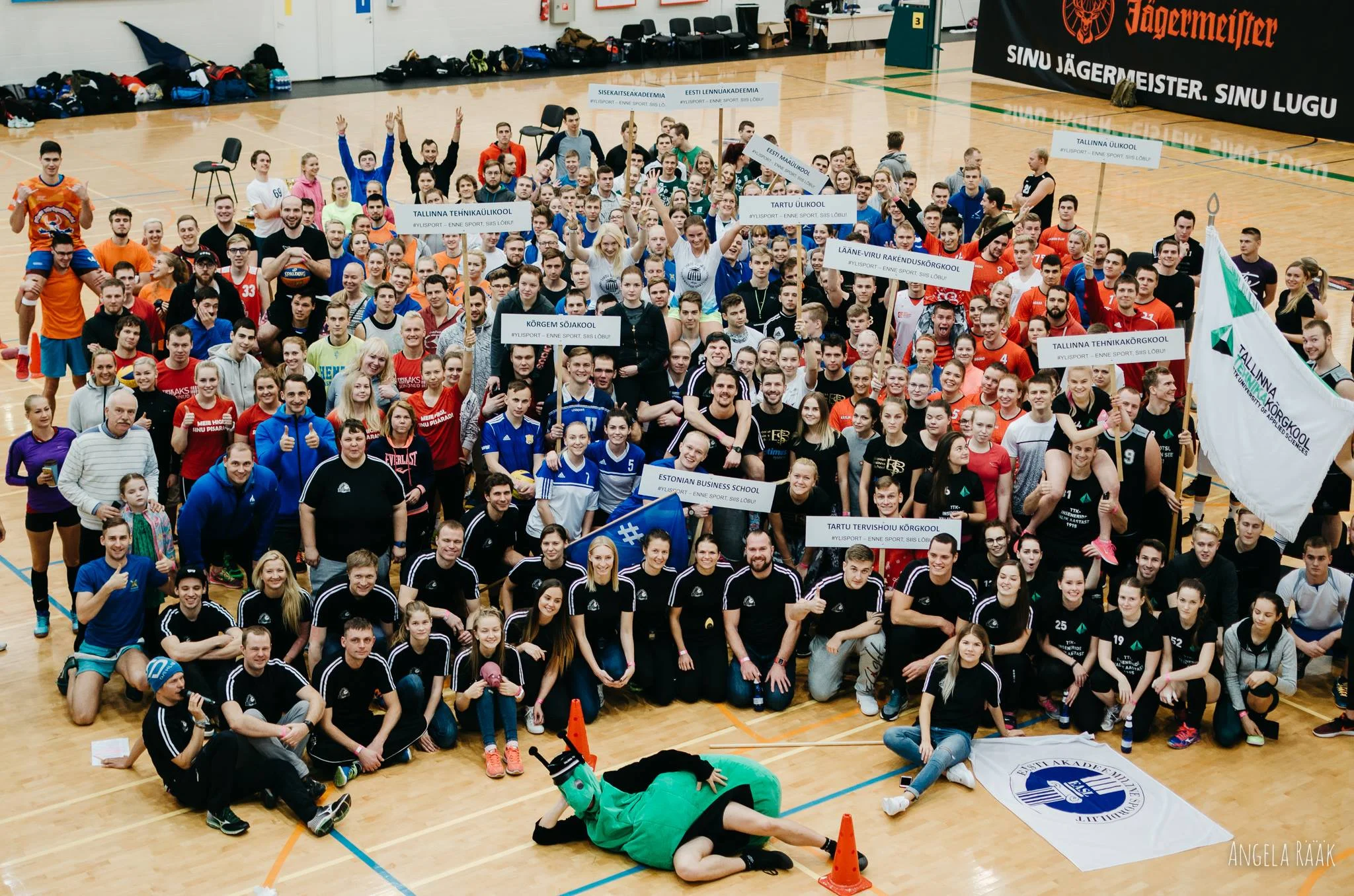 YLIPALL — YLISPORT