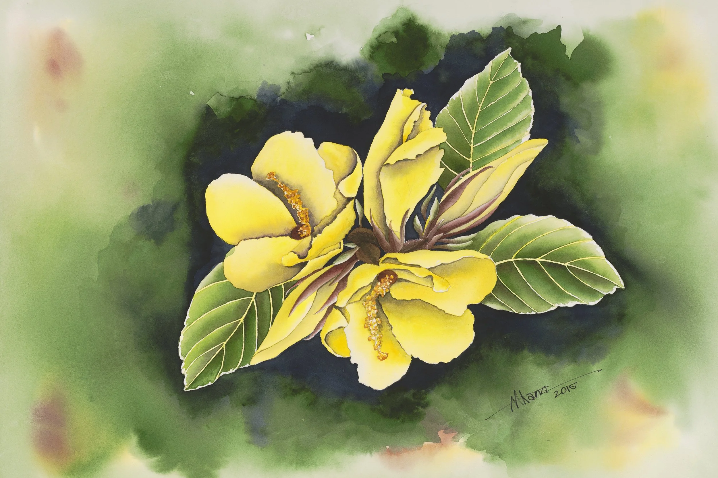 Alan Akana Gallery : Art of Hawaii's Flowers