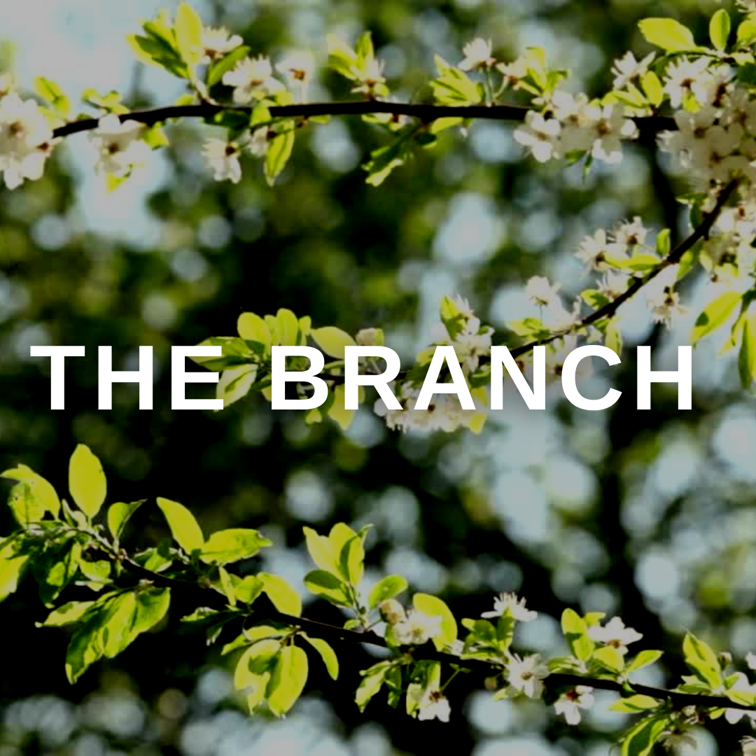 Welcome — Arborlawn UMC