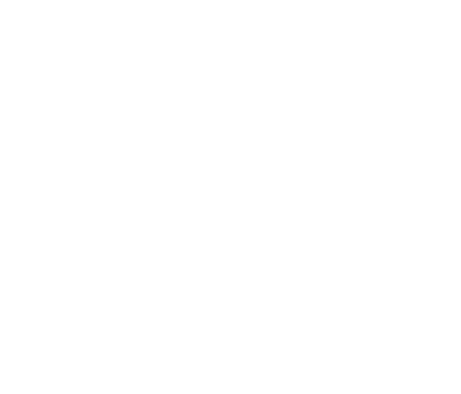 manic focus