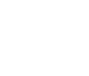 manic focus