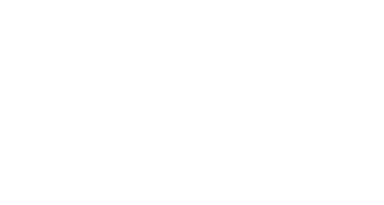 manic focus