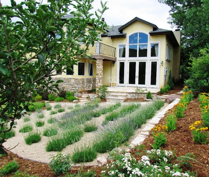 Portfolio — Twisted Vine Design