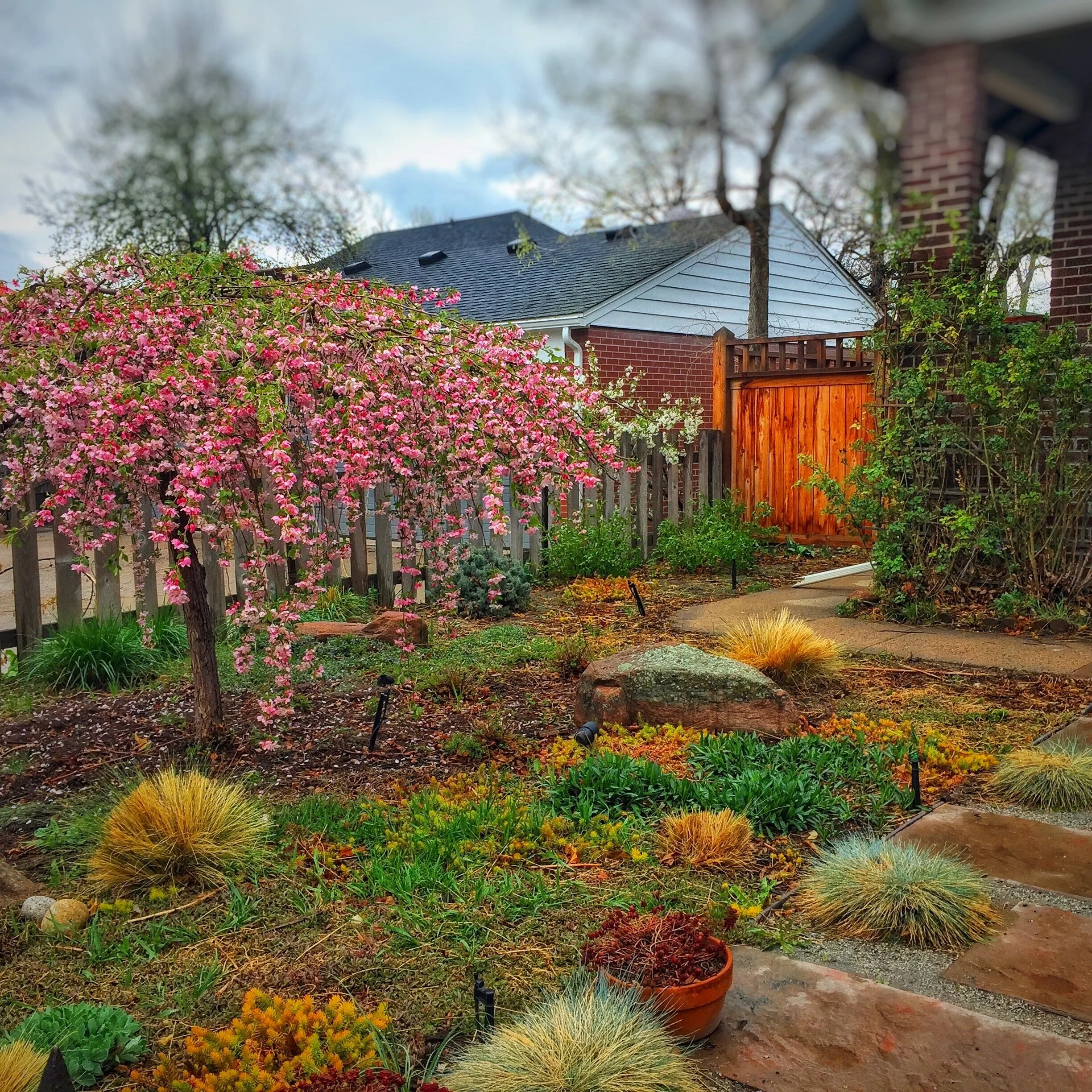 Other Services — Twisted Vine Design