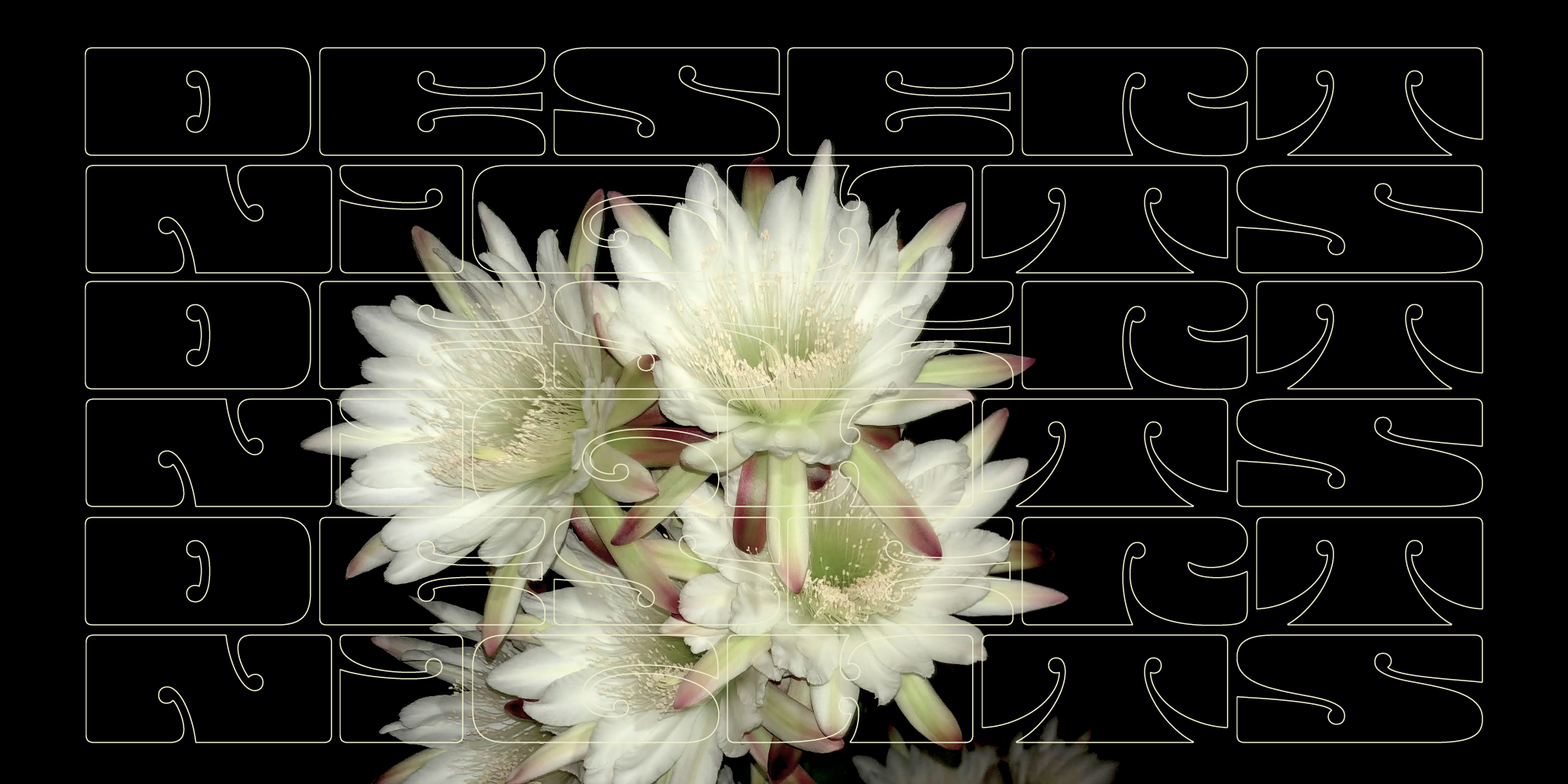 Libido — Herzberg Design Co