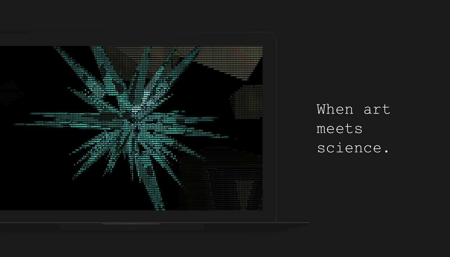 Codeology — Jacqueline Jiang