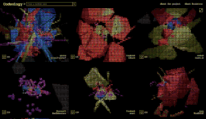 Codeology — Jacqueline Jiang