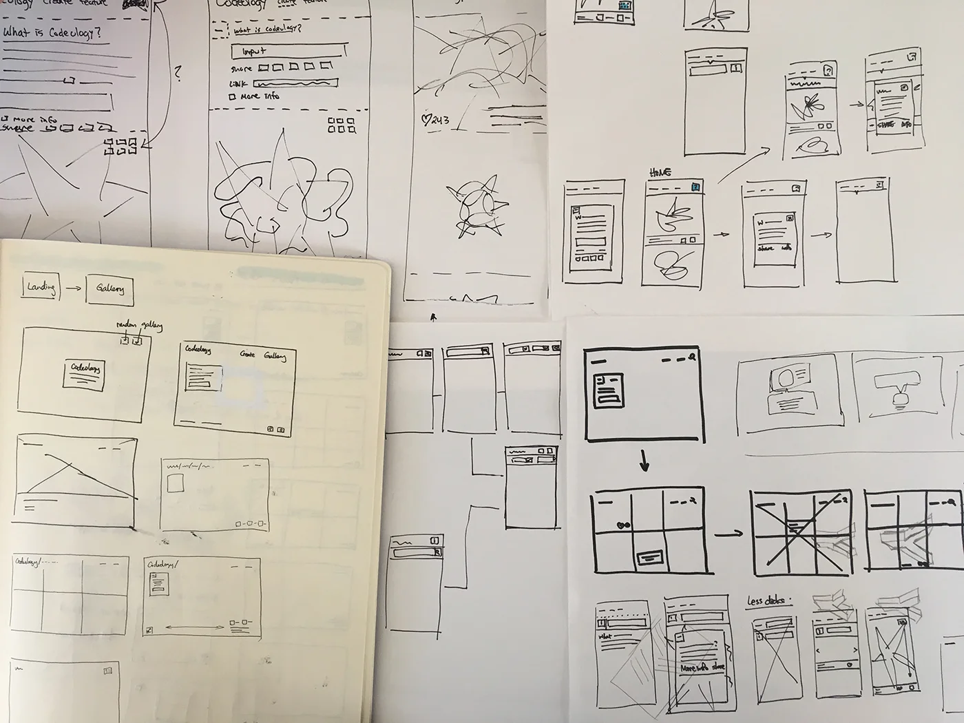 Codeology — Jacqueline Jiang