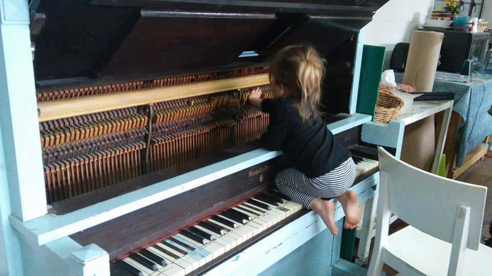 contact us — community play project