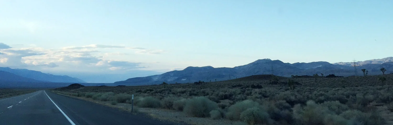 Allison Carter, LCSW