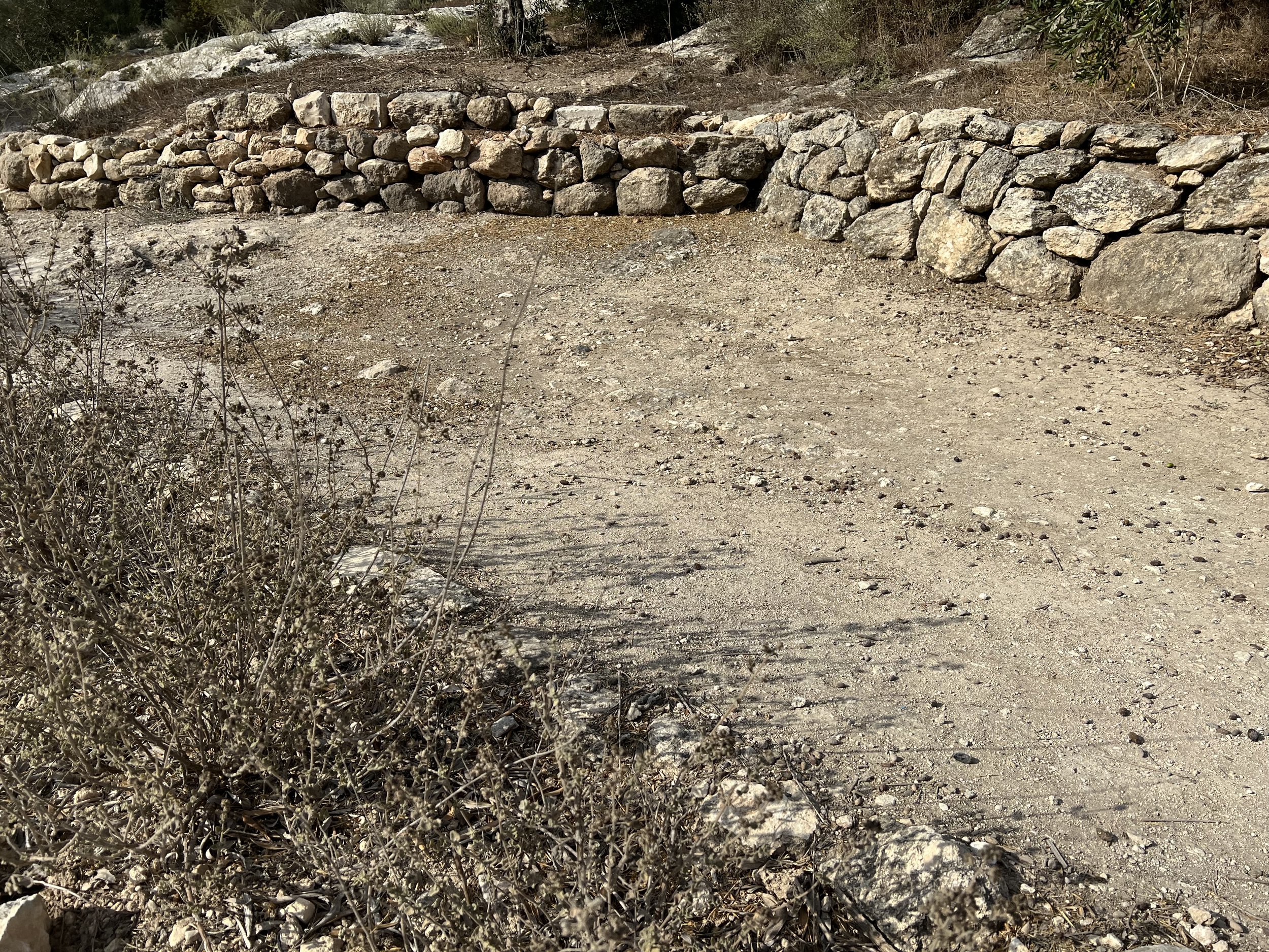 Unplowed Ground: The Sower - Cody Andras