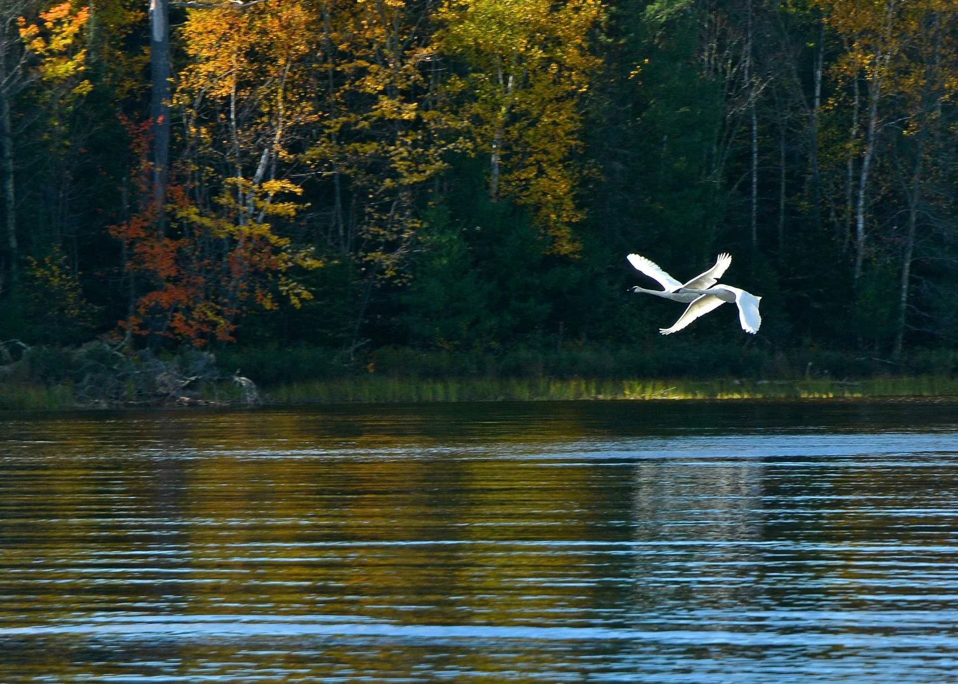 Crane Lake Visitor Center — Voyageurs Conservancy