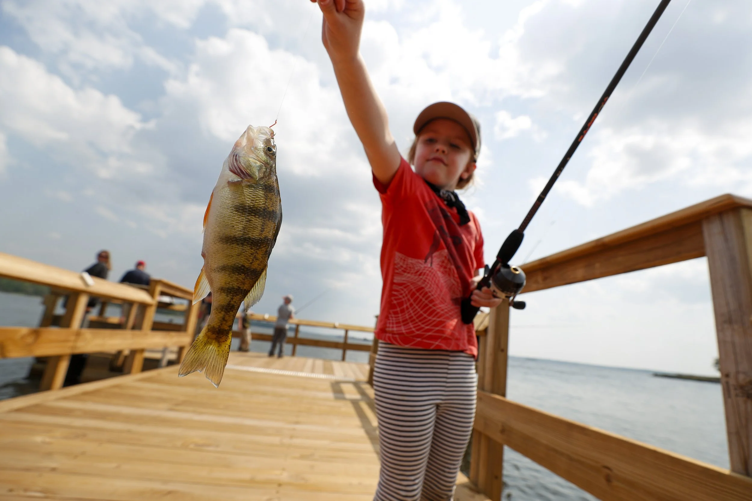 Education and Youth Programs — Voyageurs Conservancy