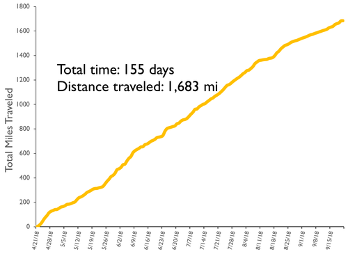 The Myth of the Lone Wolf: Navigating the Wilderness of Dispersal ...
