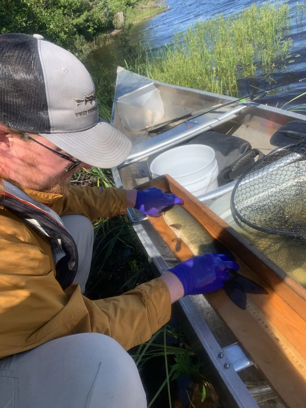 Meet Jared Horvath: Aquatics & Fisheries Field Fellow — Voyageurs ...