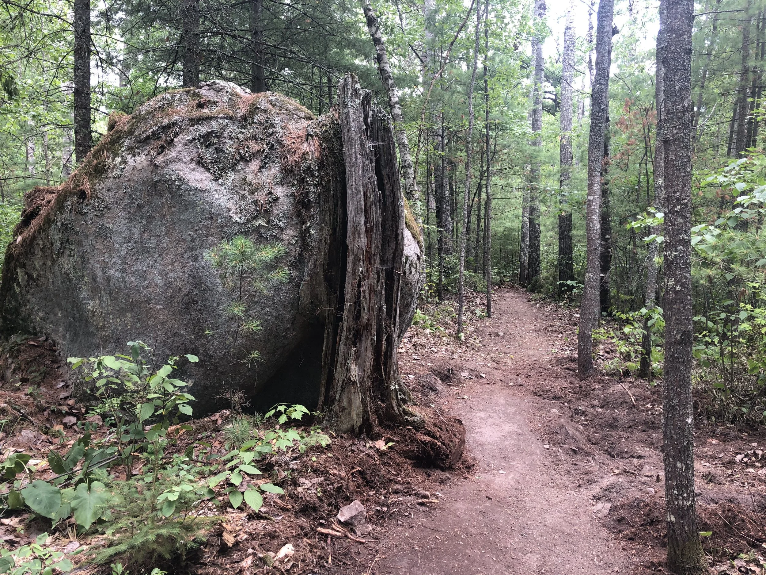 Voyageurs and the Mukooda Underworld — Voyageurs Conservancy
