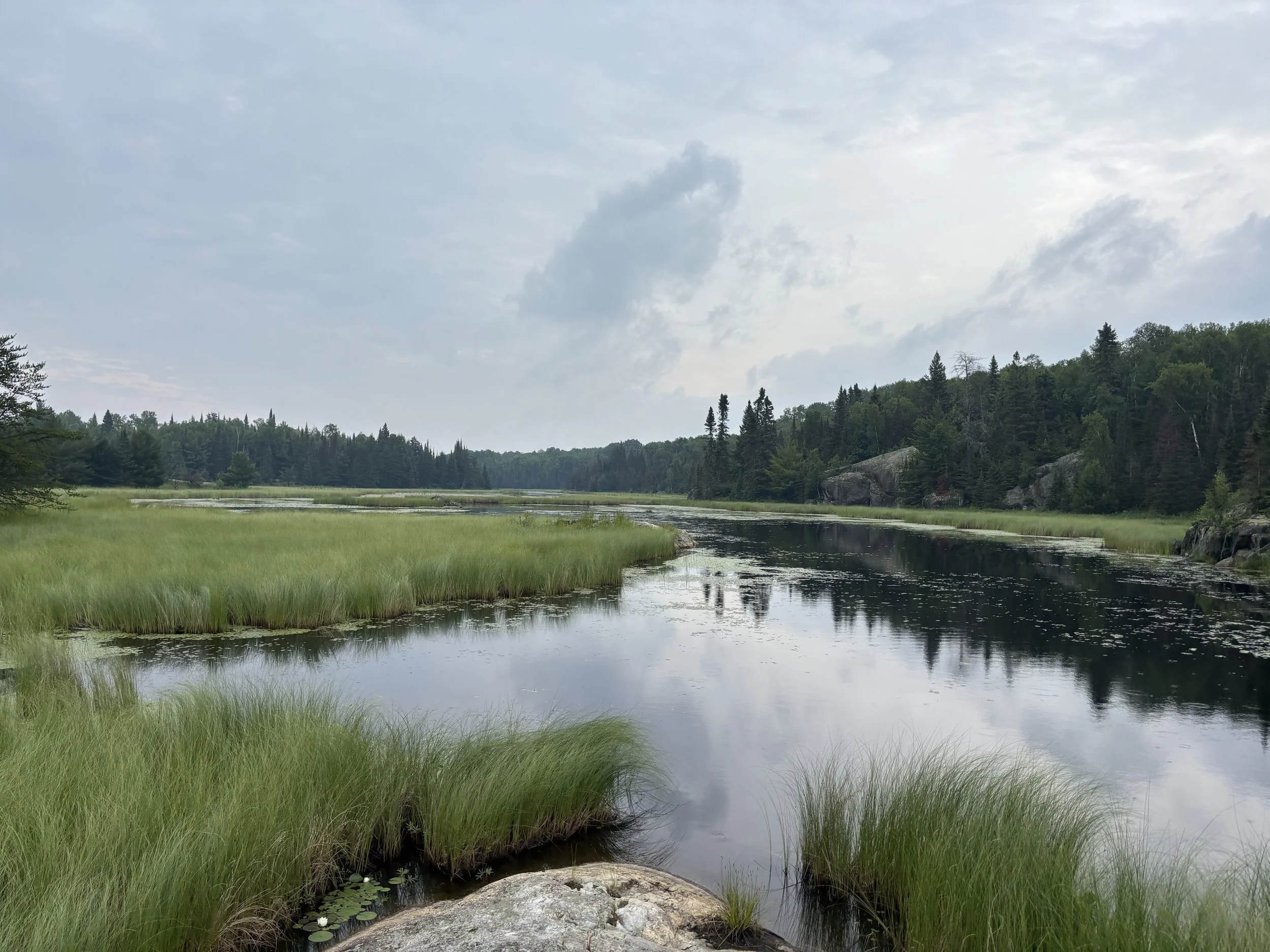 Meet Ryan Hedlund: Aquatics Field Fellow — Voyageurs Conservancy