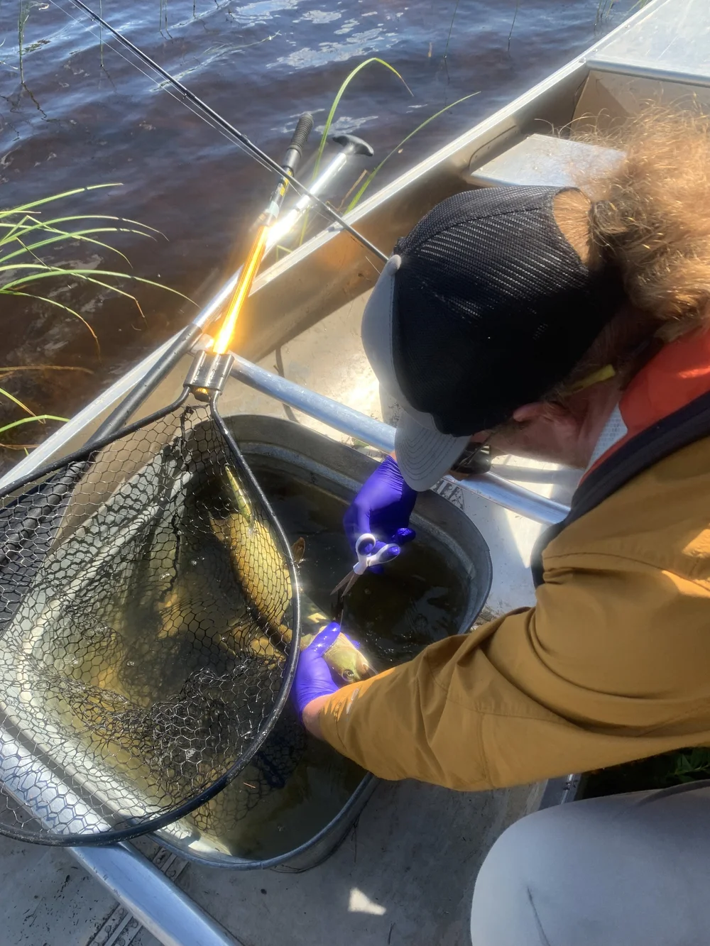 Meet Jared Horvath: Aquatics & Fisheries Field Fellow — Voyageurs ...