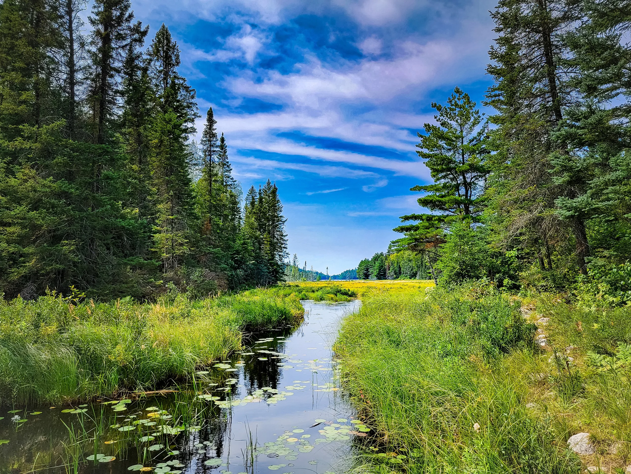 Voyageurs National Park
