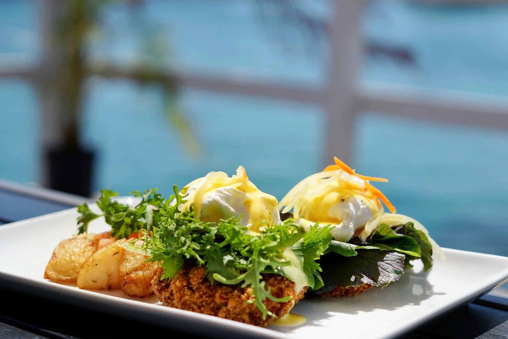 Cayman's Best Breakfasts — Island Epicurean